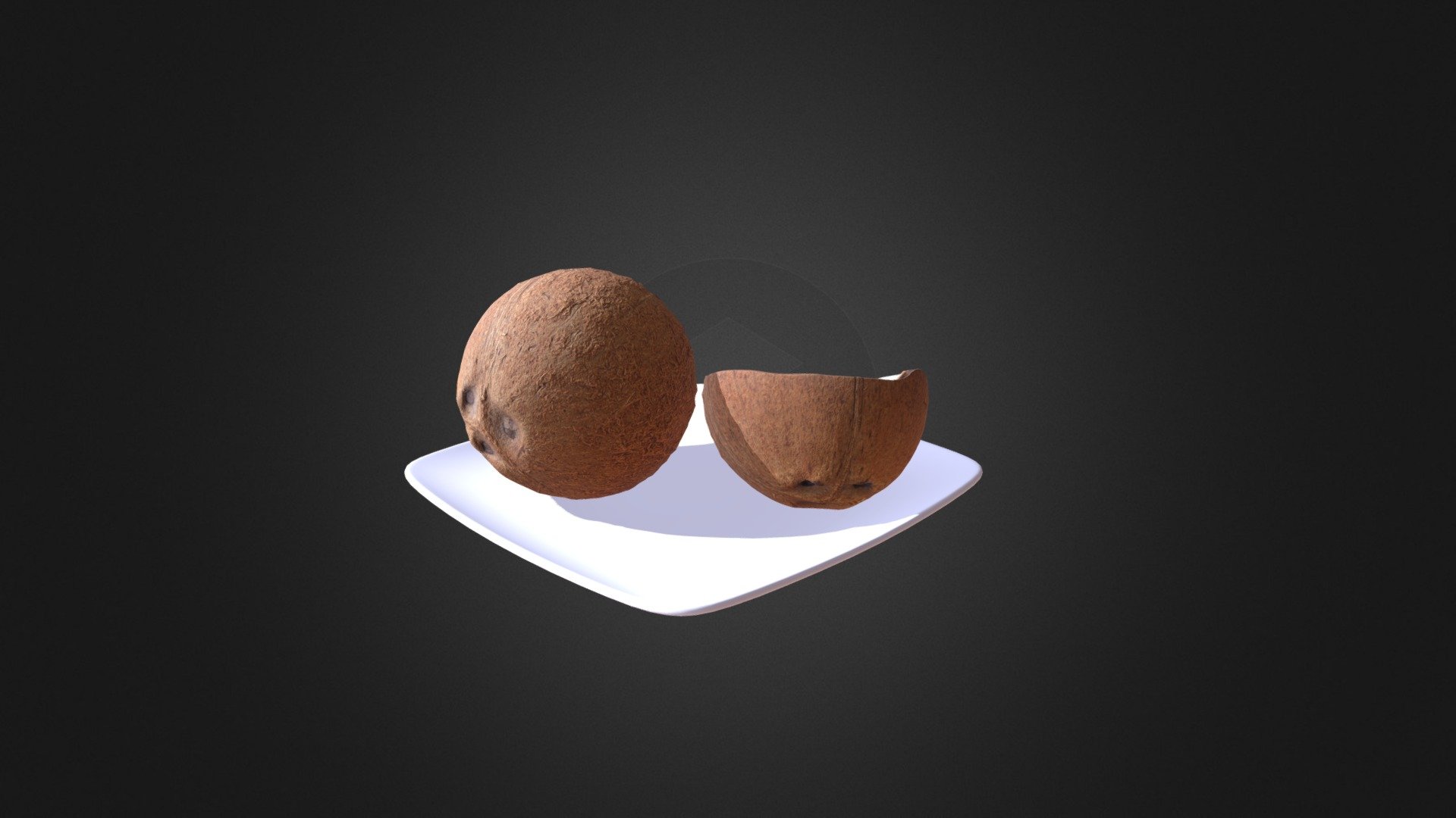 Coconuts - Buy Royalty Free 3D model by cgaxis [e4d4459] - Sketchfab Store