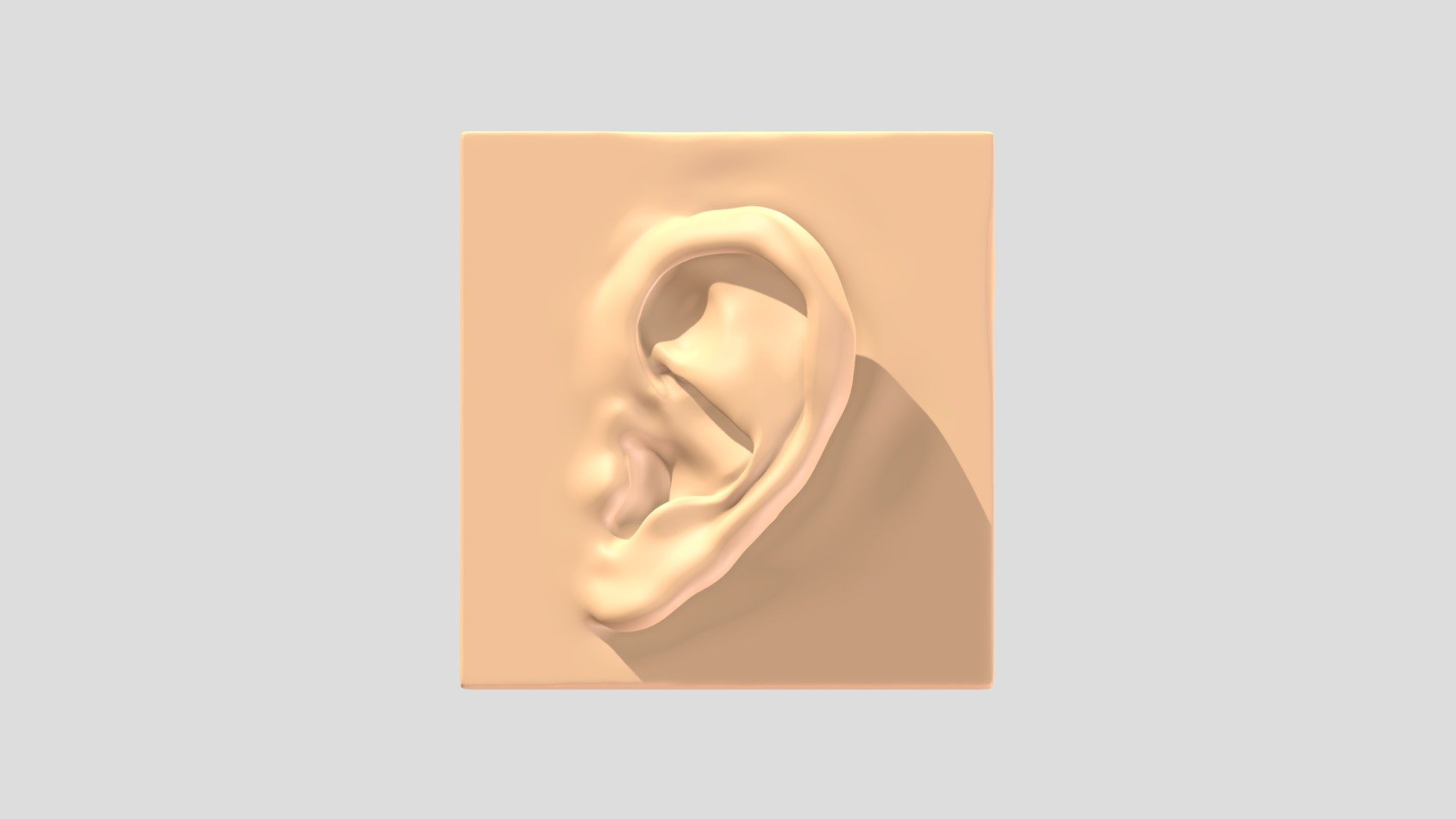 Ear study - 3D model by NateBeers [e4db111] - Sketchfab