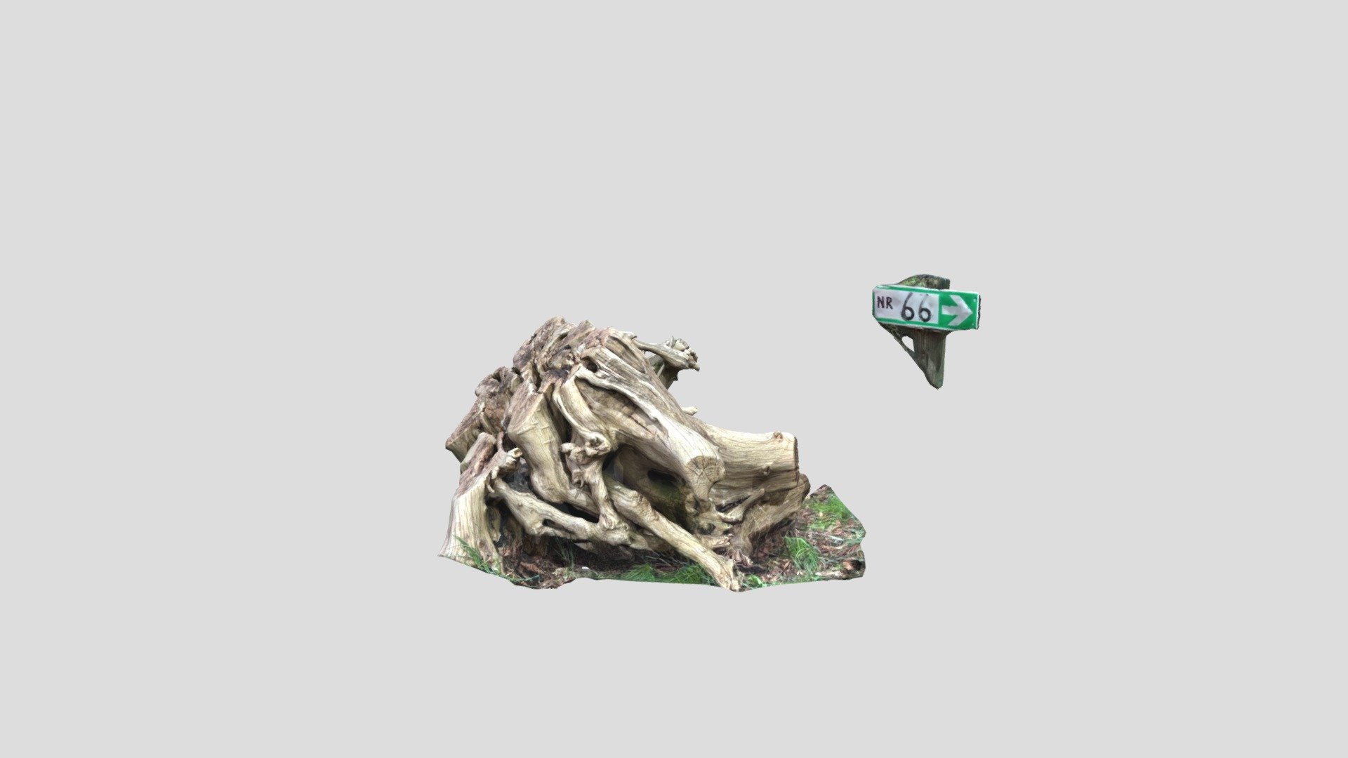 boomstronk 080422 - Download Free 3D model by jdscholtus [e4dca78 ...