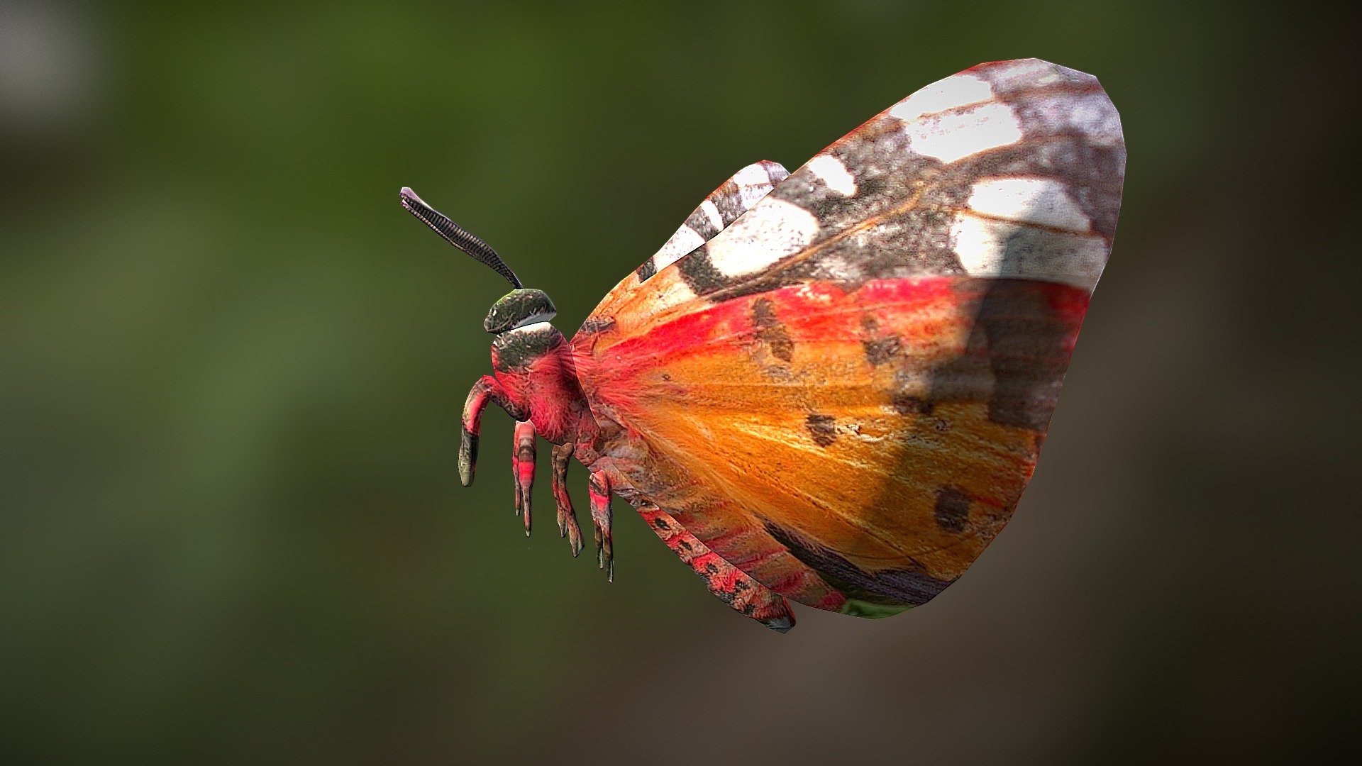 Butterfly - 3D model by Tan [e4e15ec] - Sketchfab