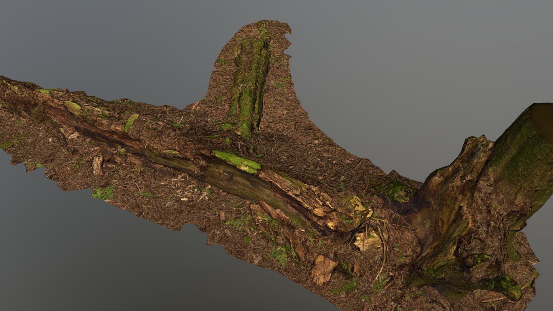 Fallen Tree 2 - 3D model by peter54 [e4e4801] - Sketchfab