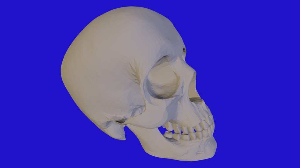 Skull - Scull Geant Fix02 - Download Free 3D model by corentin [e4ec213 ...