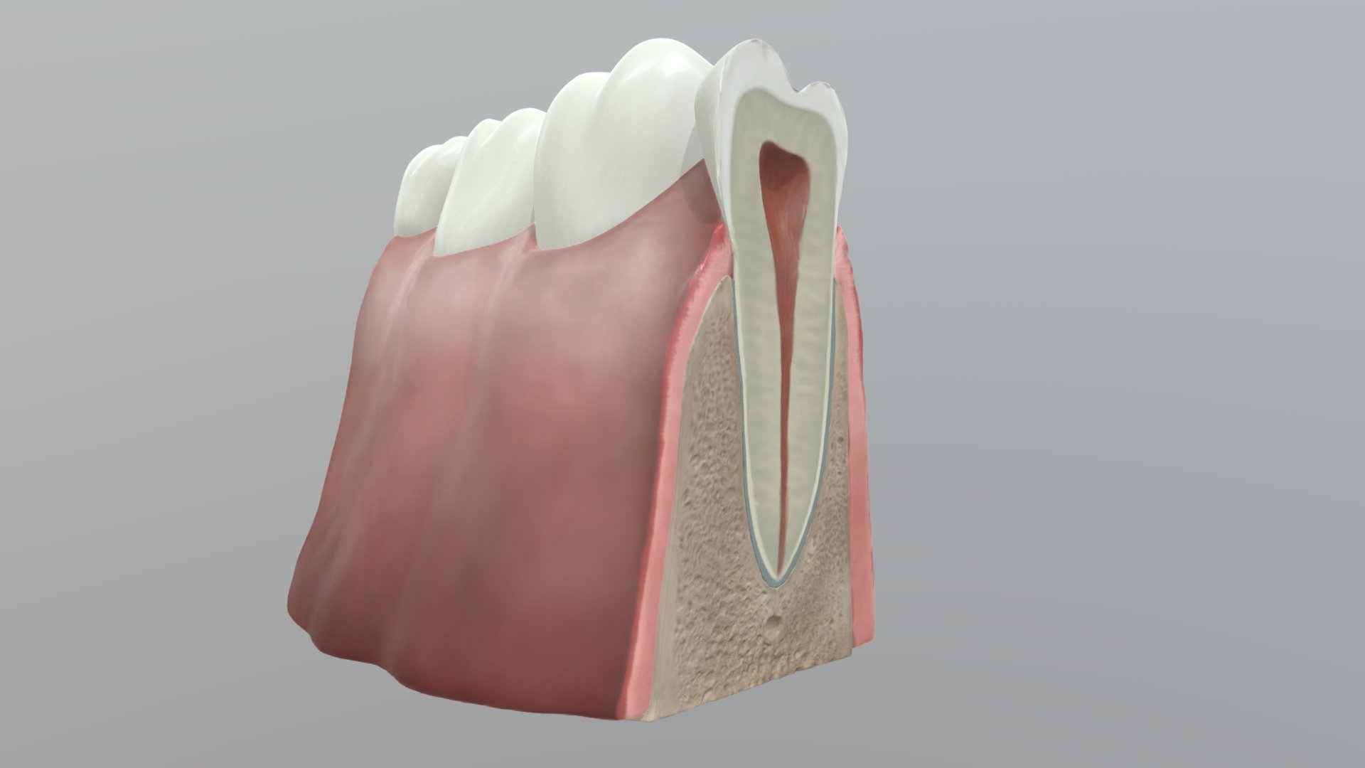 Hi-poly model with paint - Download Free 3D model by nbarto [e4ecc4f ...