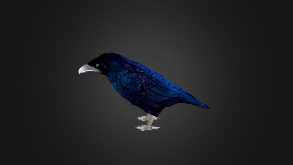 Raven - 3D model by mabelweasley [e4fa73b] - Sketchfab