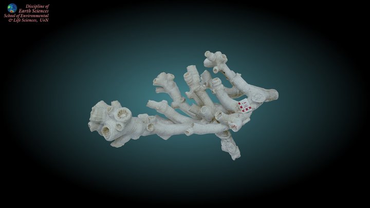 Great-barrier-reef 3D models - Sketchfab