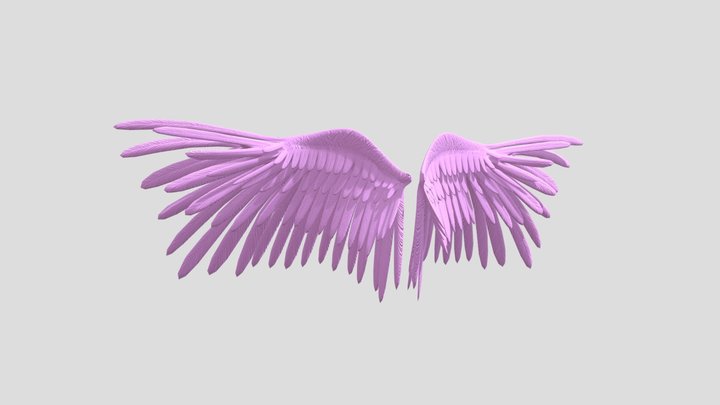 Tadc 3D models - Sketchfab