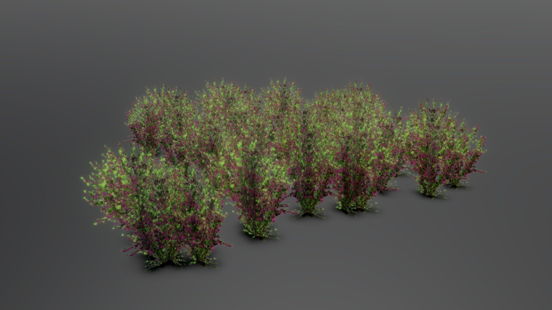 Plant Shrub - Download Free 3D model by Somersby [e509215] - Sketchfab