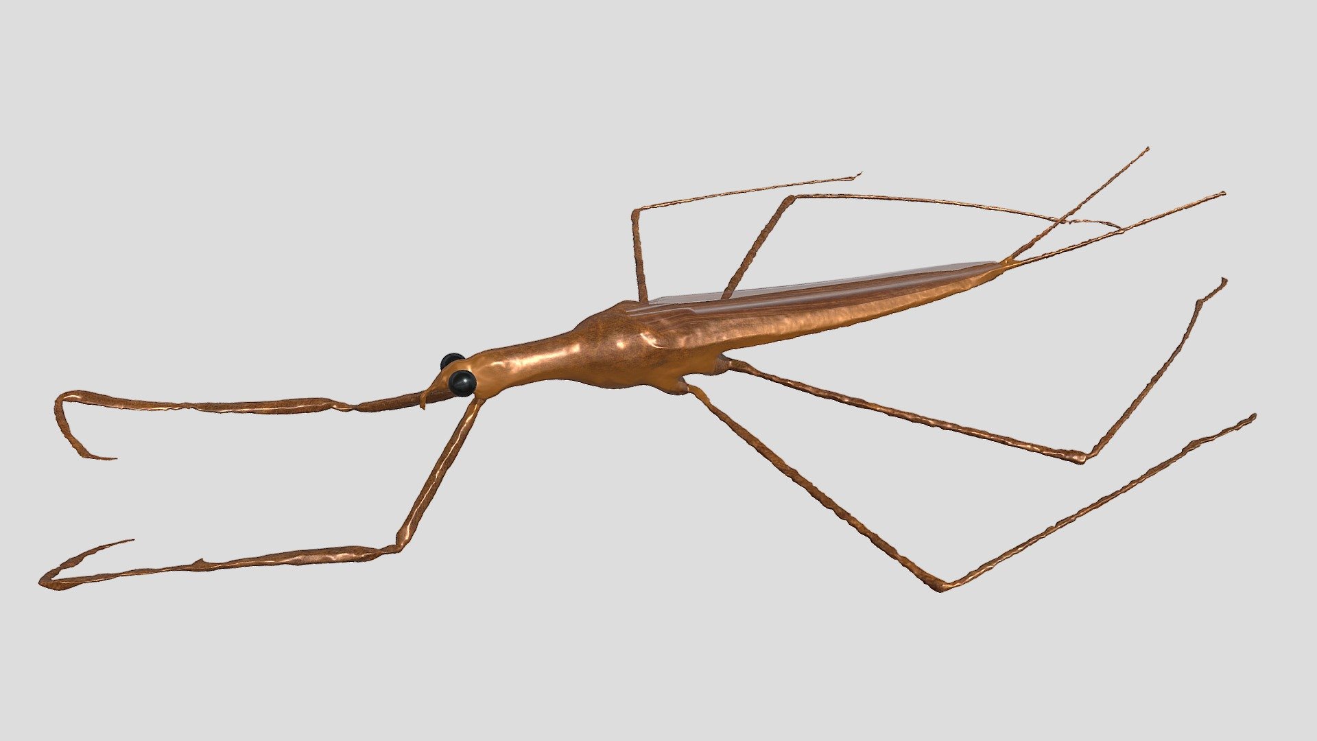 Water Stick Insect - 3D model by mazeyanti_UTP [e50c32a] - Sketchfab