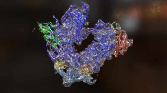 EMDB › EMD-4088 - 3D model by Interactive 3D Data (@proteinsimulation ...