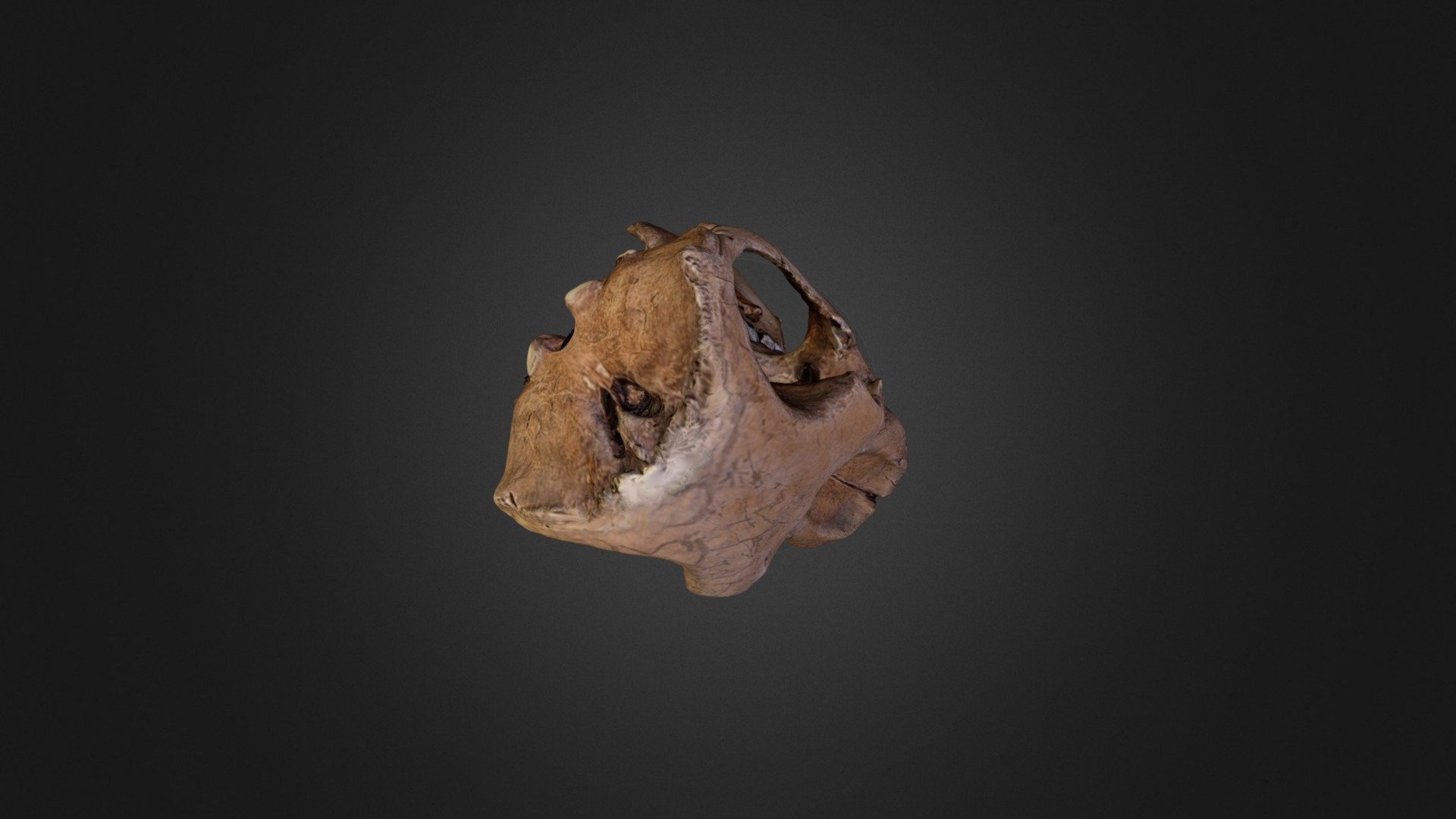 masty - 3D model by warmslime [e5167d3] - Sketchfab