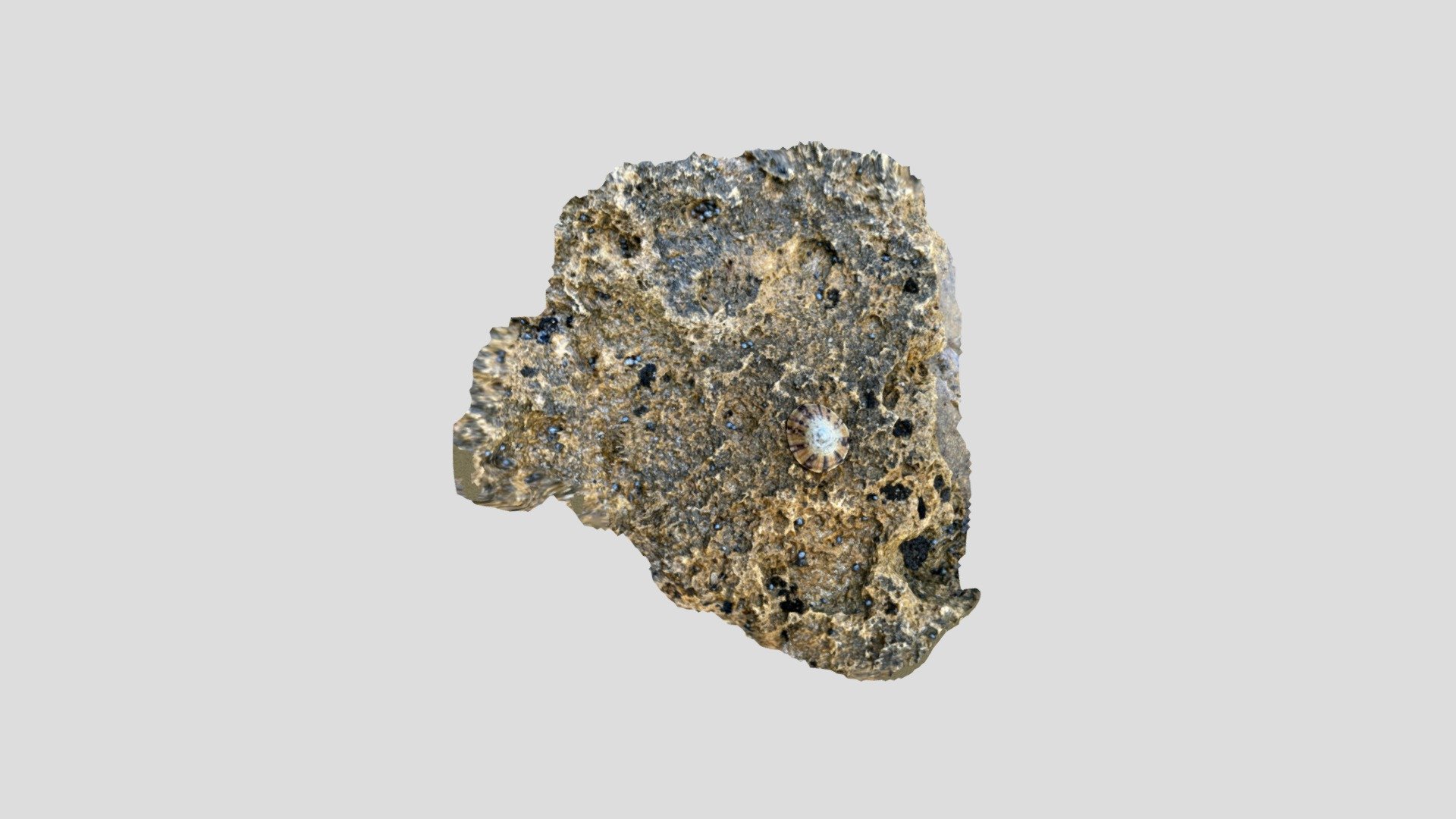 Into The Rockpool - 3D model by Cass459 [e51a6fd] - Sketchfab