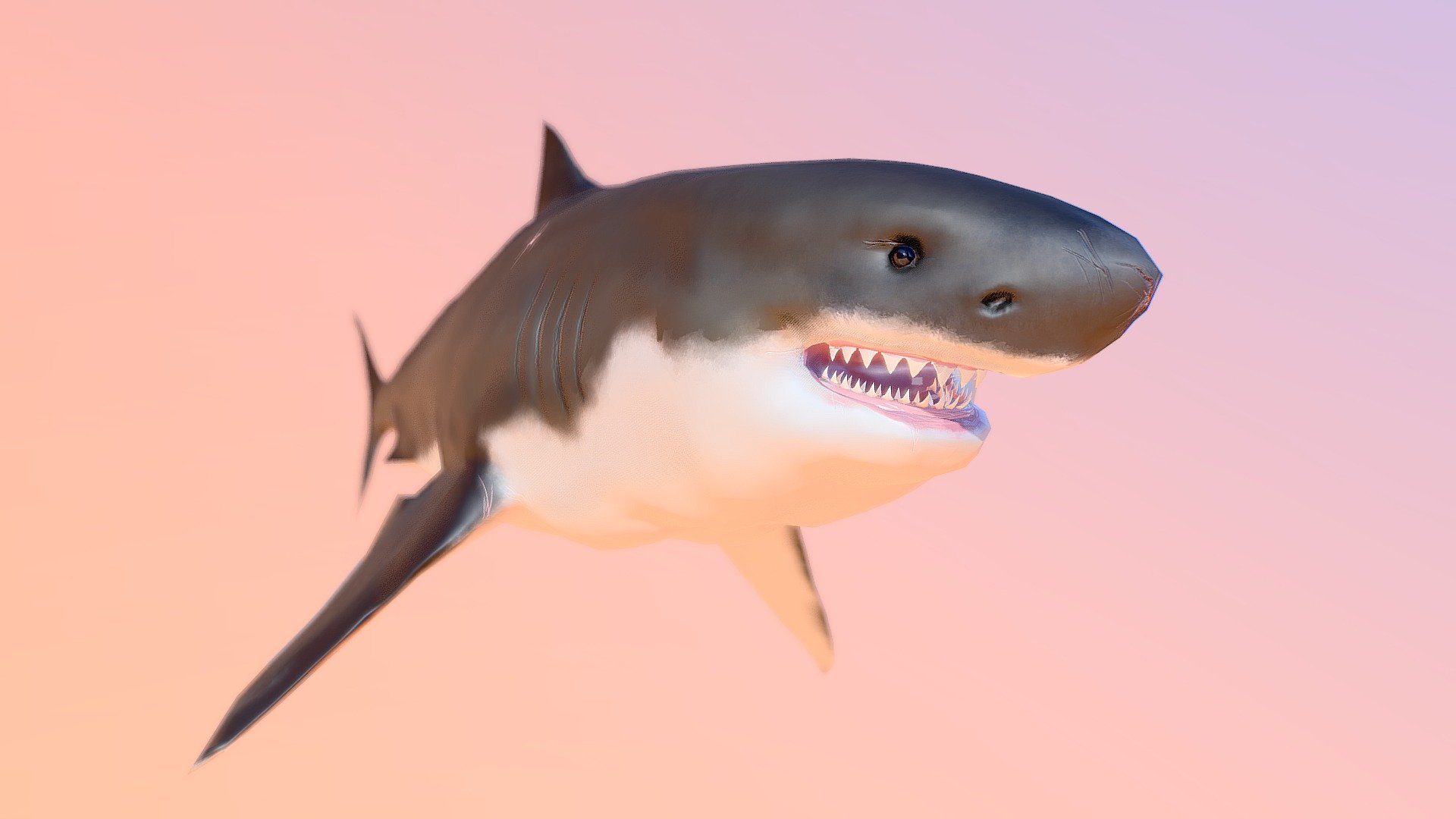 Shark - 3D model by Bhavya (@bhavyas) [e51ea8f] - Sketchfab