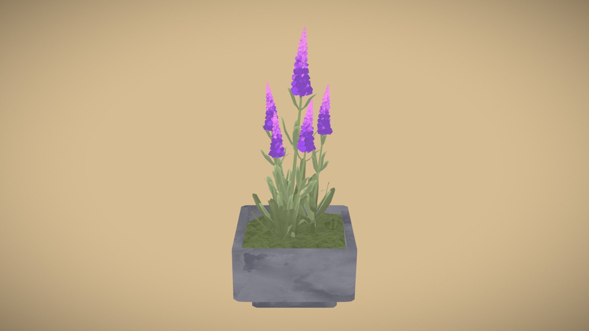 Lavender - Download Free 3D model by MoraySmile [e5217f0] - Sketchfab