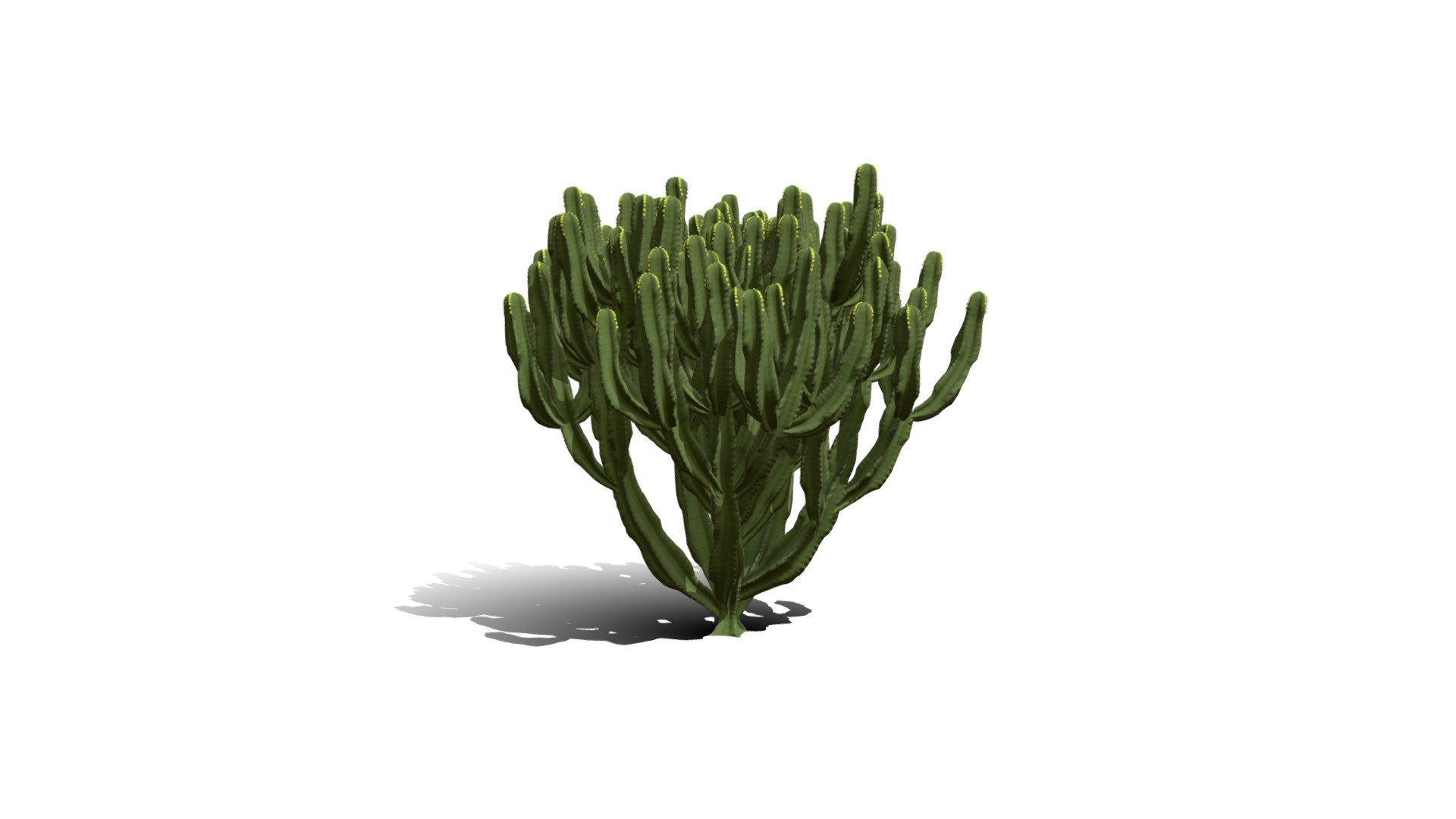 Realistic HD Candelabra tree (18/40) - Buy Royalty Free 3D model by ...