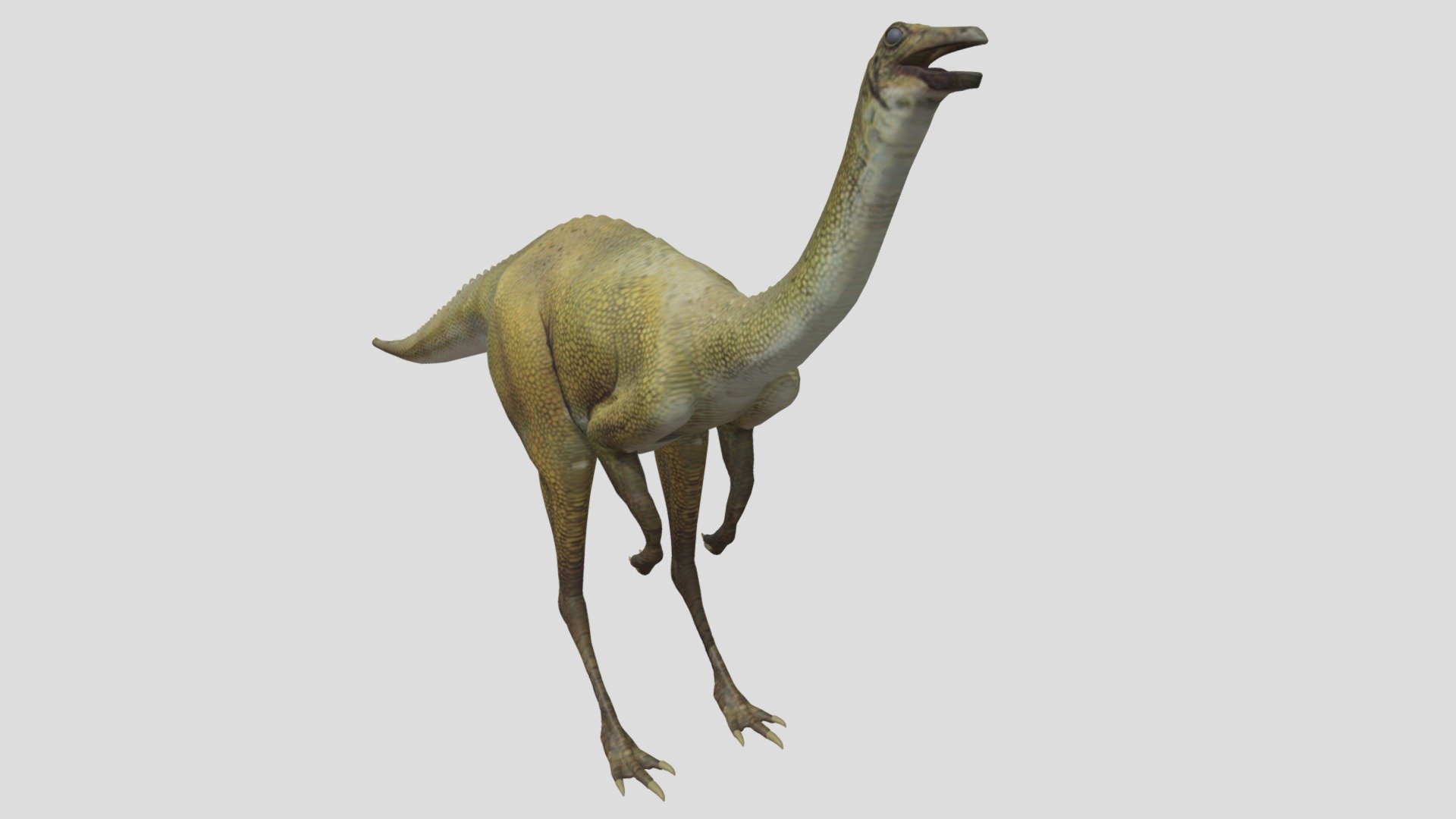 Gallimimus - Download Free 3D model by victorberdugo1 [e52b199] - Sketchfab