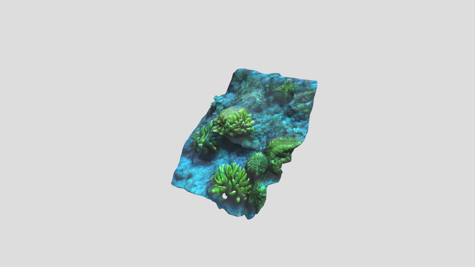 Coral Reef Wall L - Download Free 3D model by stefanorivera [e52c823 ...