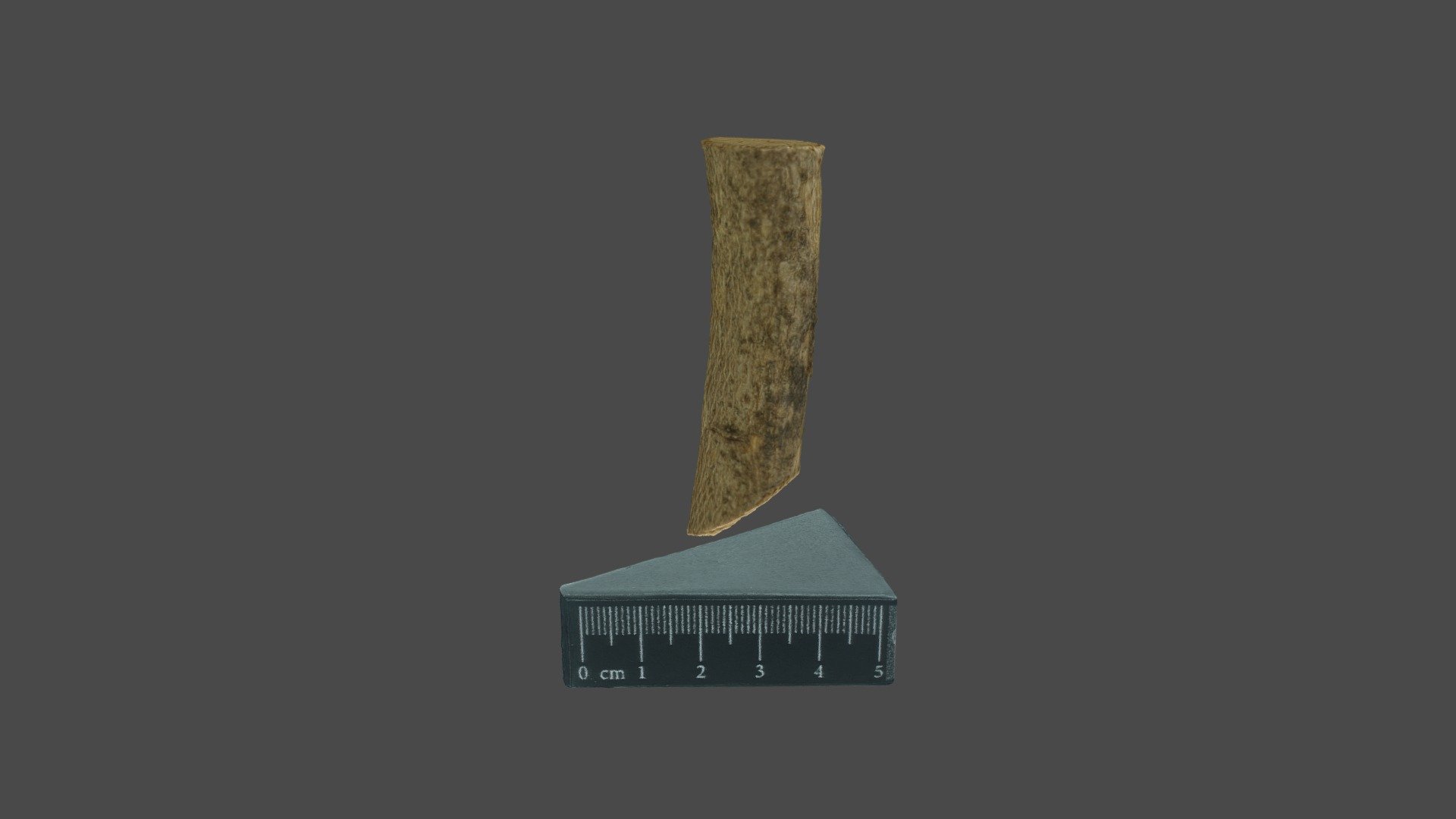 รากขัดมอญ scale bar - Download Free 3D model by 65201101047 [e52e78b ...