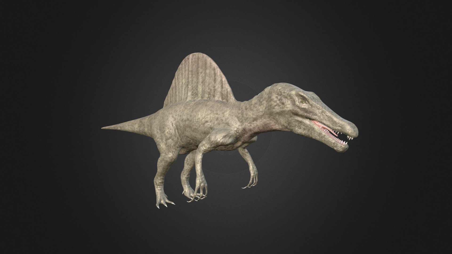 Spinosaurus - Buy Royalty Free 3D model by SP_3D [e5365c9] - Sketchfab ...