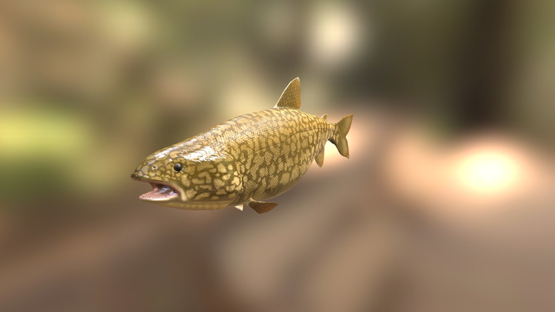 Lake Trout - Download Free 3D model by ucdavisterc [e5387e5] - Sketchfab
