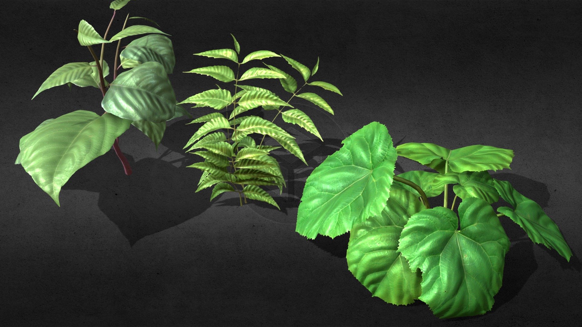 Wild plants - rigged, animable - Buy Royalty Free 3D model by endike ...