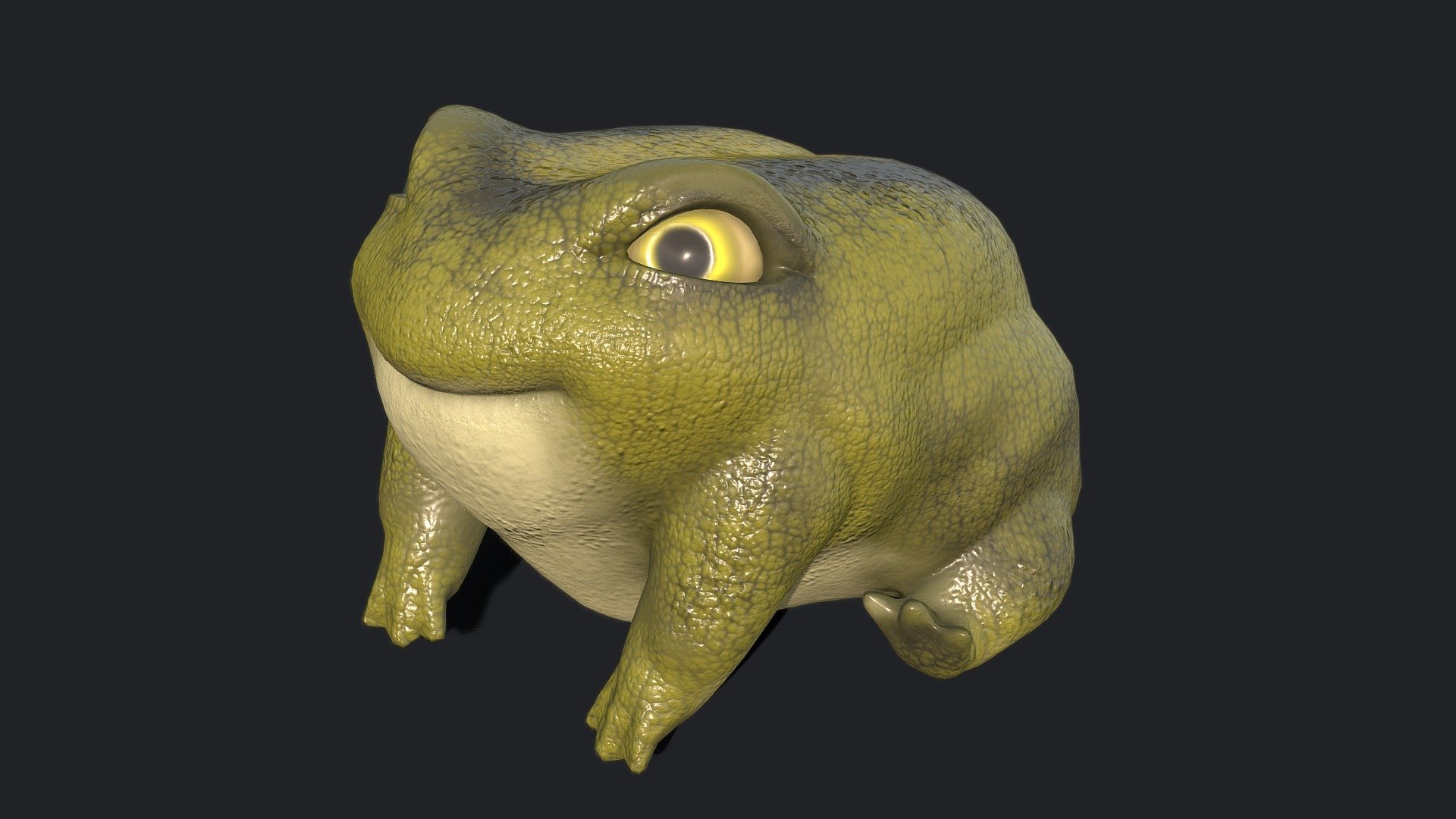 Frog - 3D model by DumitriyL [e539598] - Sketchfab