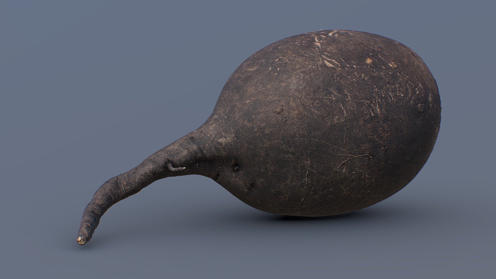 Beetroot - 3D model by kanistra [e53f523] - Sketchfab