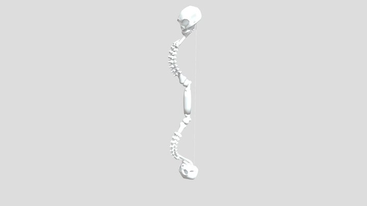 Archery 3D models - Sketchfab