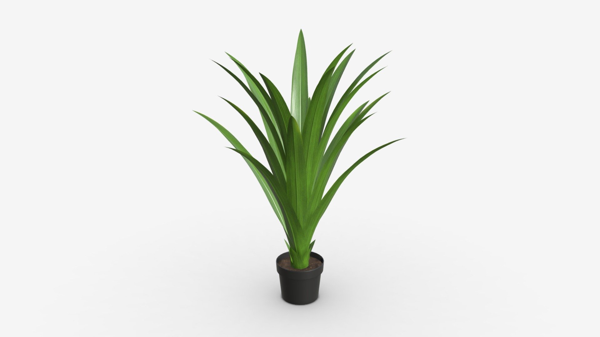 Artificial Yucca Plant in Pot - Buy Royalty Free 3D model by HQ3DMOD ...