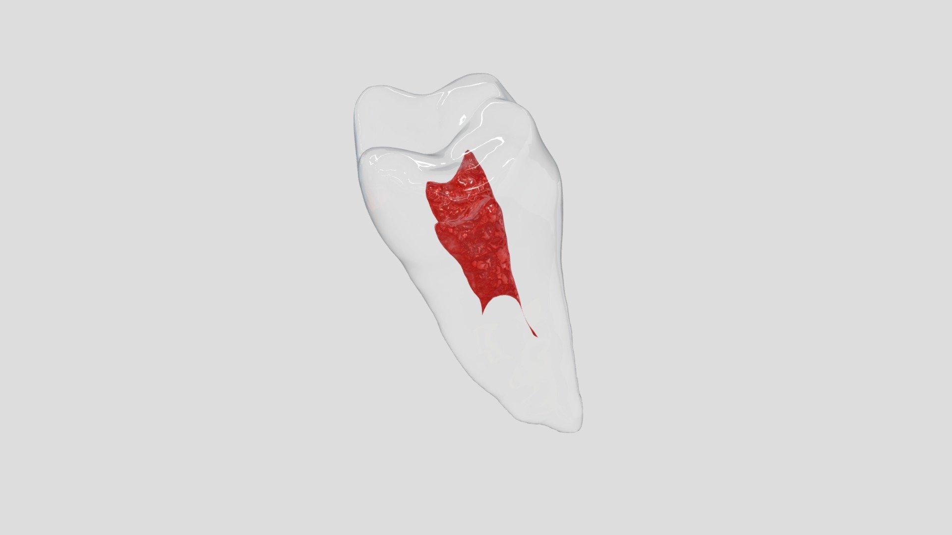 46 Endo - 3D model by OMFA3D [e5450c4] - Sketchfab