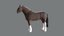 Shire Horse - 3D model by katgrafx [e5487d6] - Sketchfab