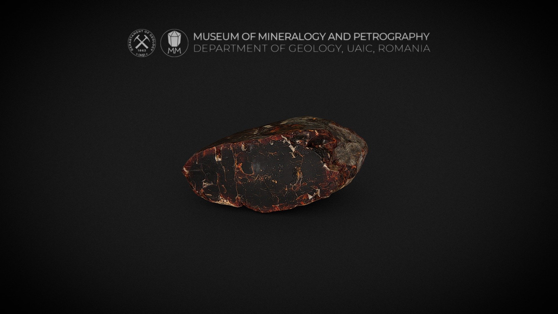 Amber (Succinite) - a fossil tree resin - 3D model by Museum of ...