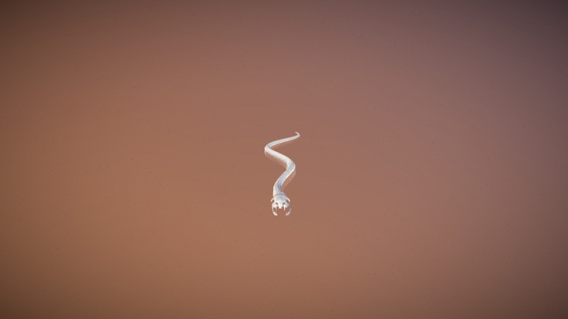 Snake Skeleton - 3D model by ManyMany Creations (@manymany) [e549206 ...