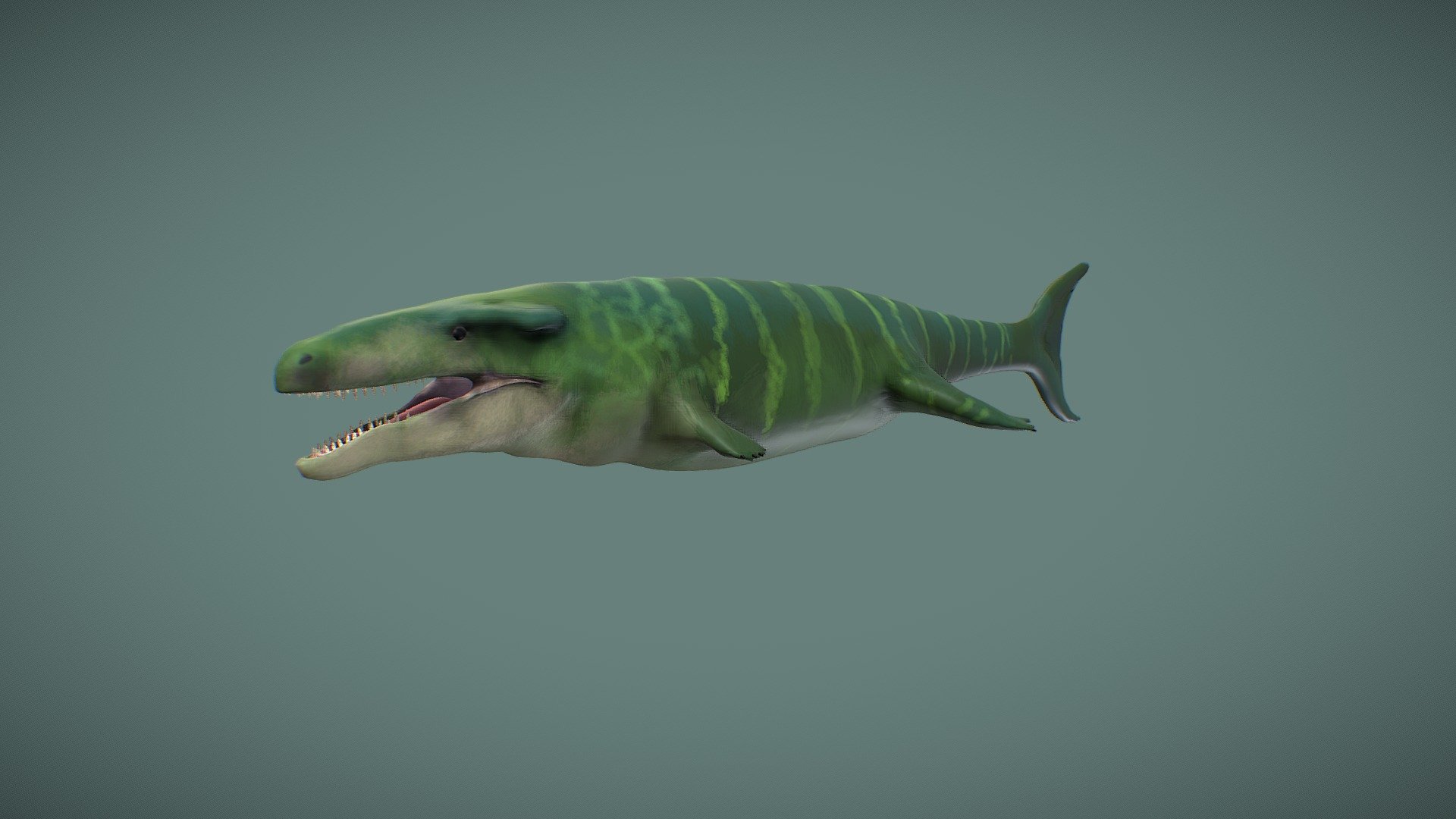 Dakosaurus - Rigged - Buy Royalty Free 3D model by Iofry [e54b073] - Sketchfab Store