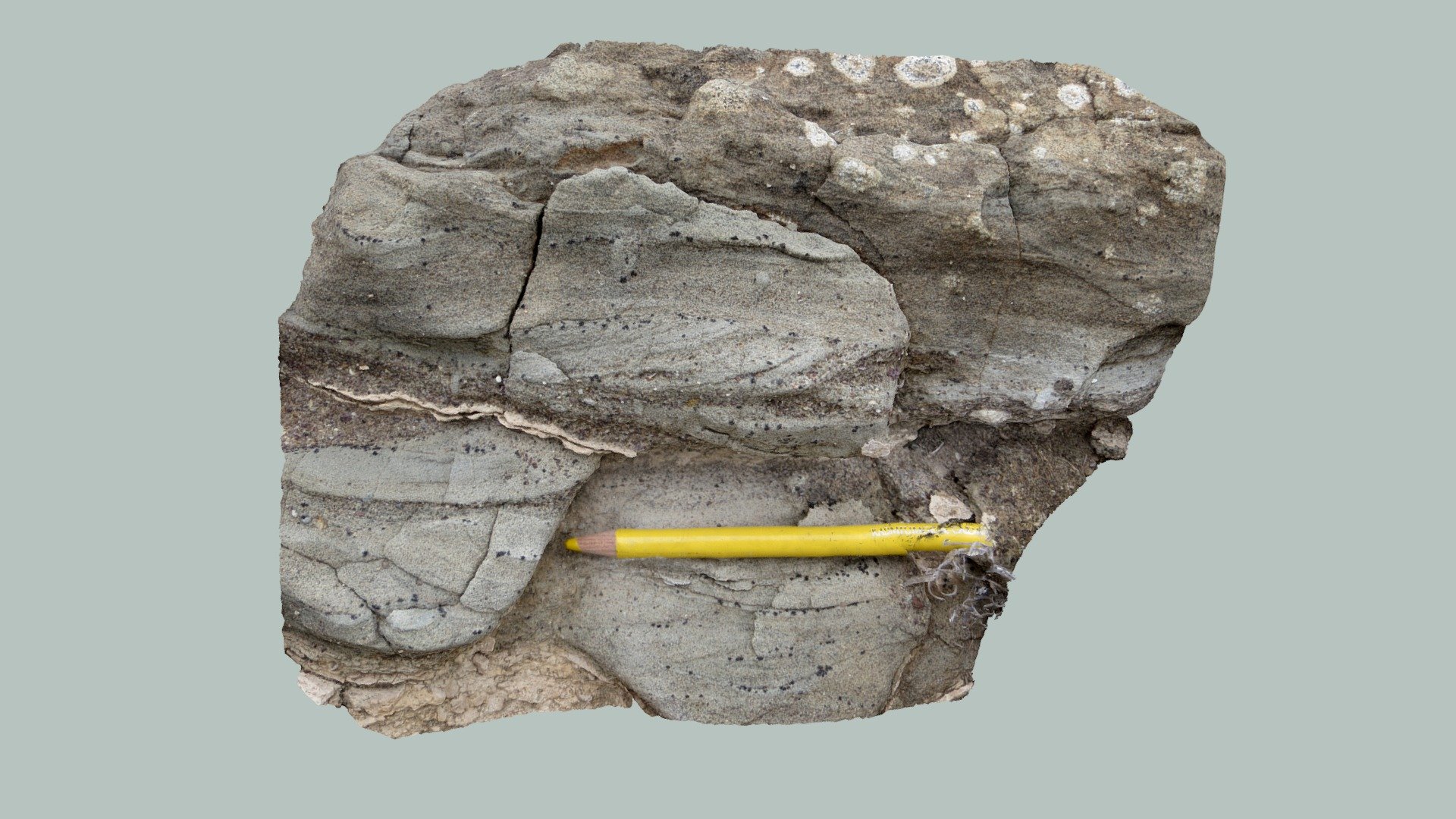 Cross-bedding, Spain - Download Free 3D model by Sara Carena ...