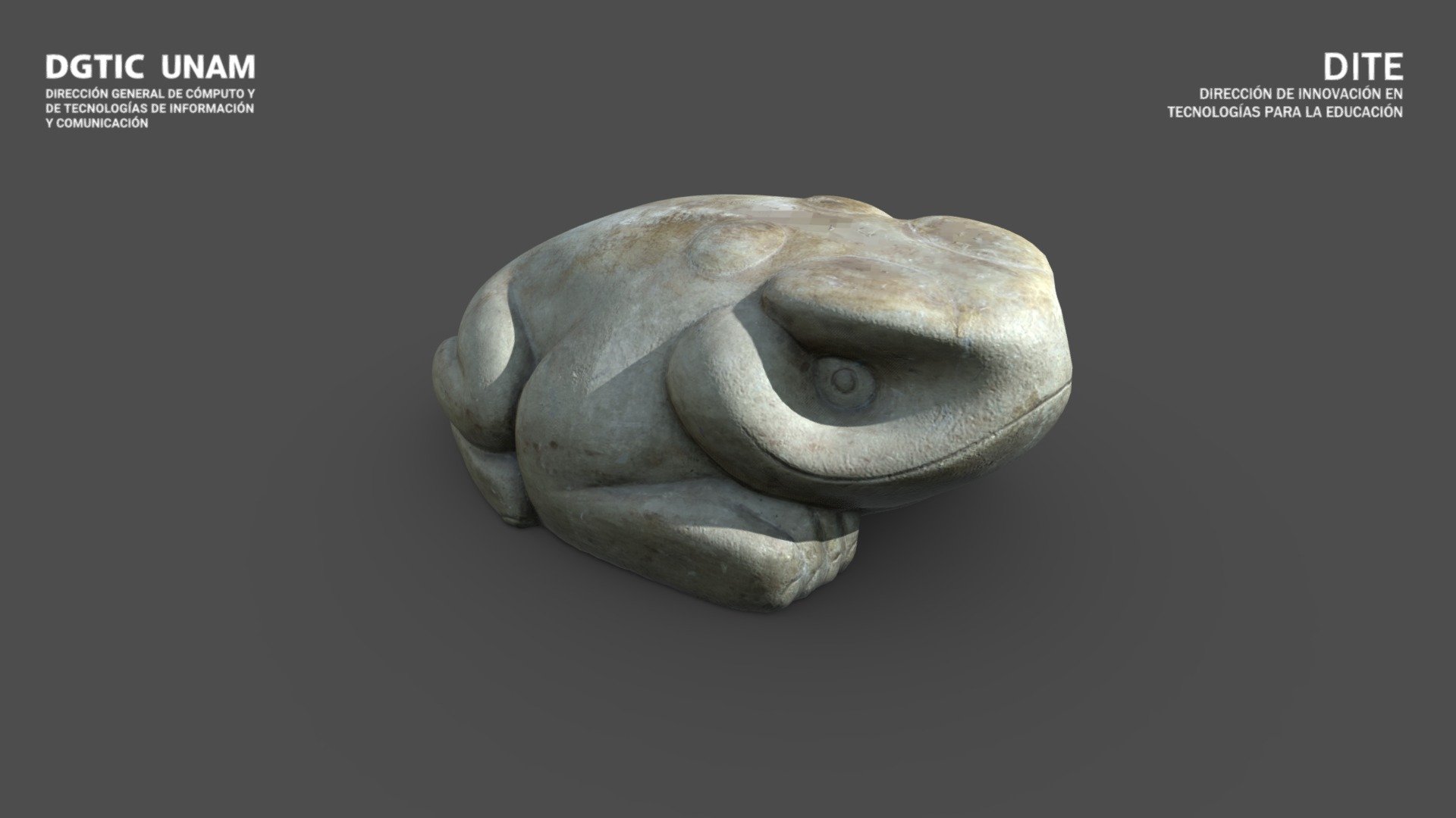 Rana - 3D model by UNAM | DGTIC | DITE | DRDE (@DRDE_UNAM) [e54e842 ...