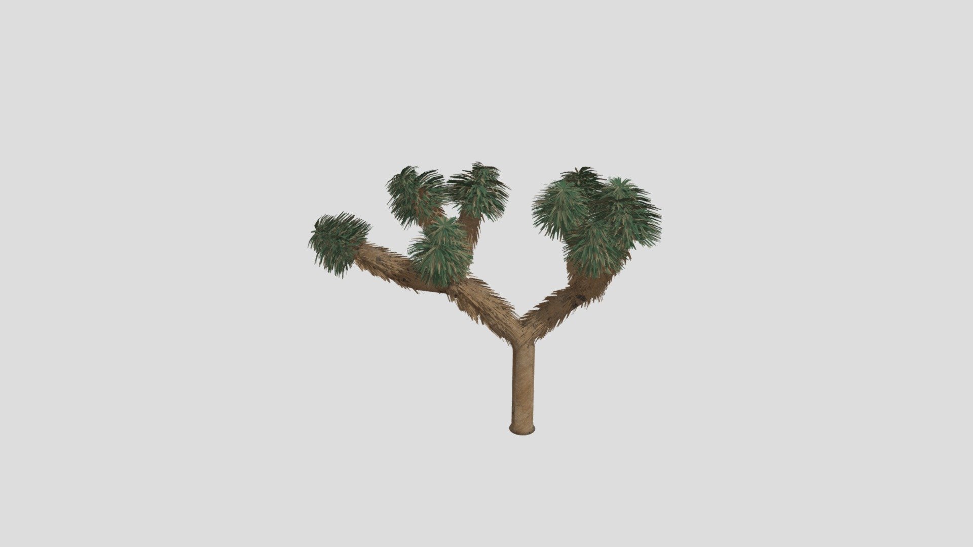 joshua tree - 3D model by jesamabin [e558ad7] - Sketchfab