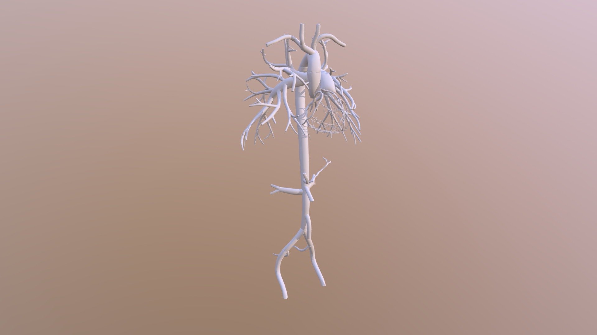 Arteries - 3D model by lkregula [e559d52] - Sketchfab