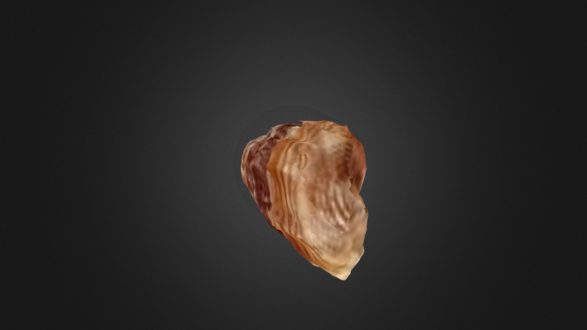 Cerithidea obtusa Lamark, 1822 Ốc len - 3D model by 3D collection (@phanh1711999) [e569a7b ...