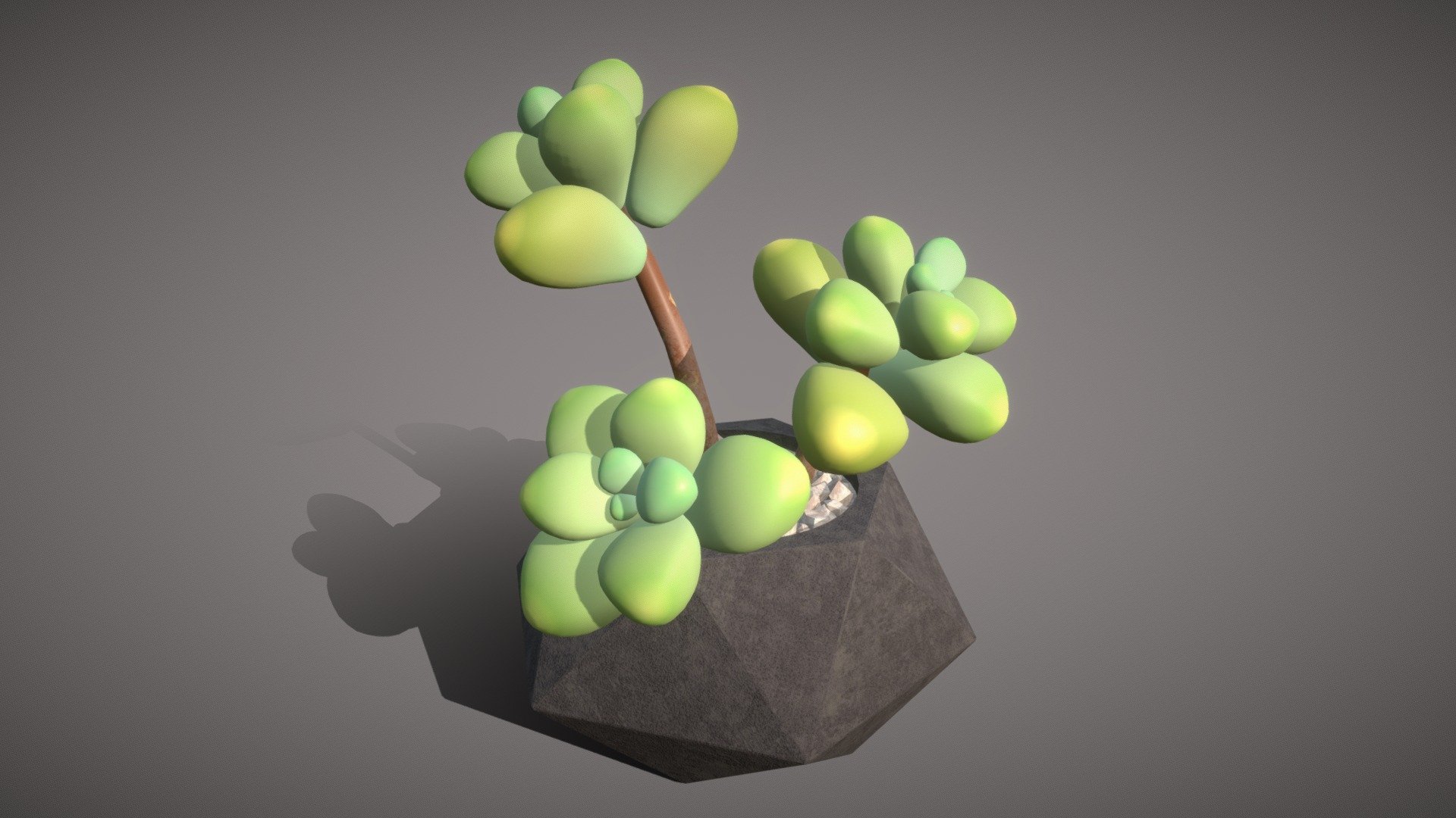 Mint sedum : succulent in a pot - Buy Royalty Free 3D model by ...