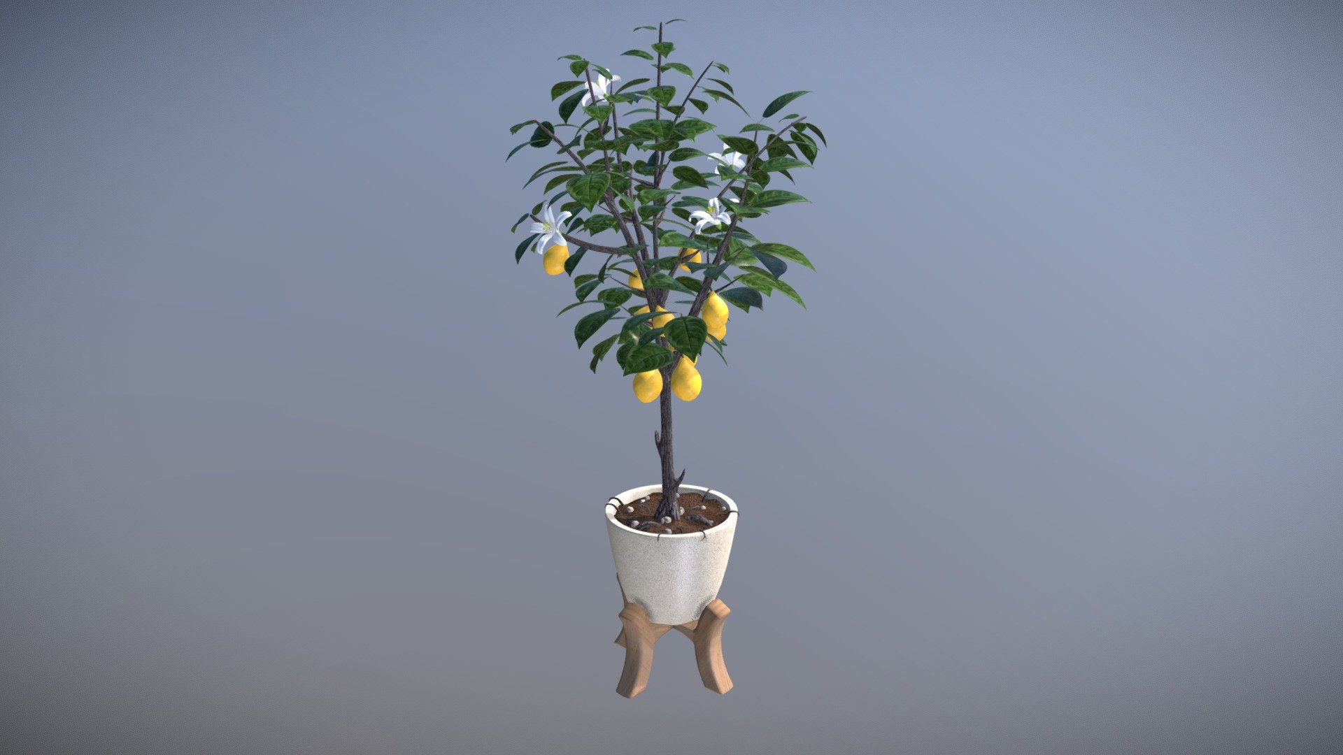 Lemon Plant - 3D model by gus_curranmunoz [e56fbb0] - Sketchfab