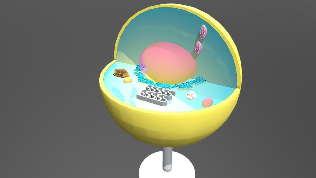Cell 3d project - 3D model by BigLDP [e574677] - Sketchfab