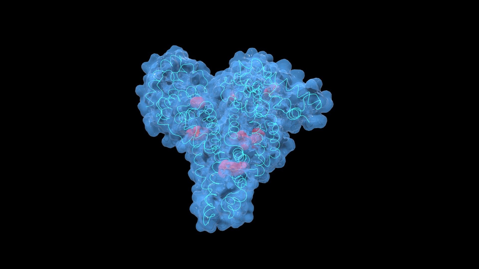 Serum albumin charged with ibuprofen molecules - 3D model by ...