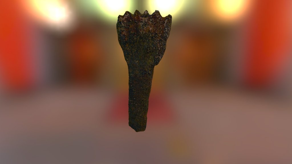 Croze tool (VCU_3D_1844) - Download Free 3D model by Virtual Curation ...