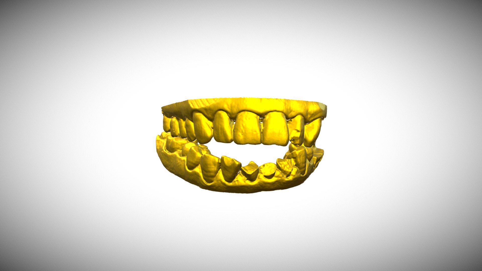 Bite - Download Free 3D model by thunk3d.scanner [e587515] - Sketchfab