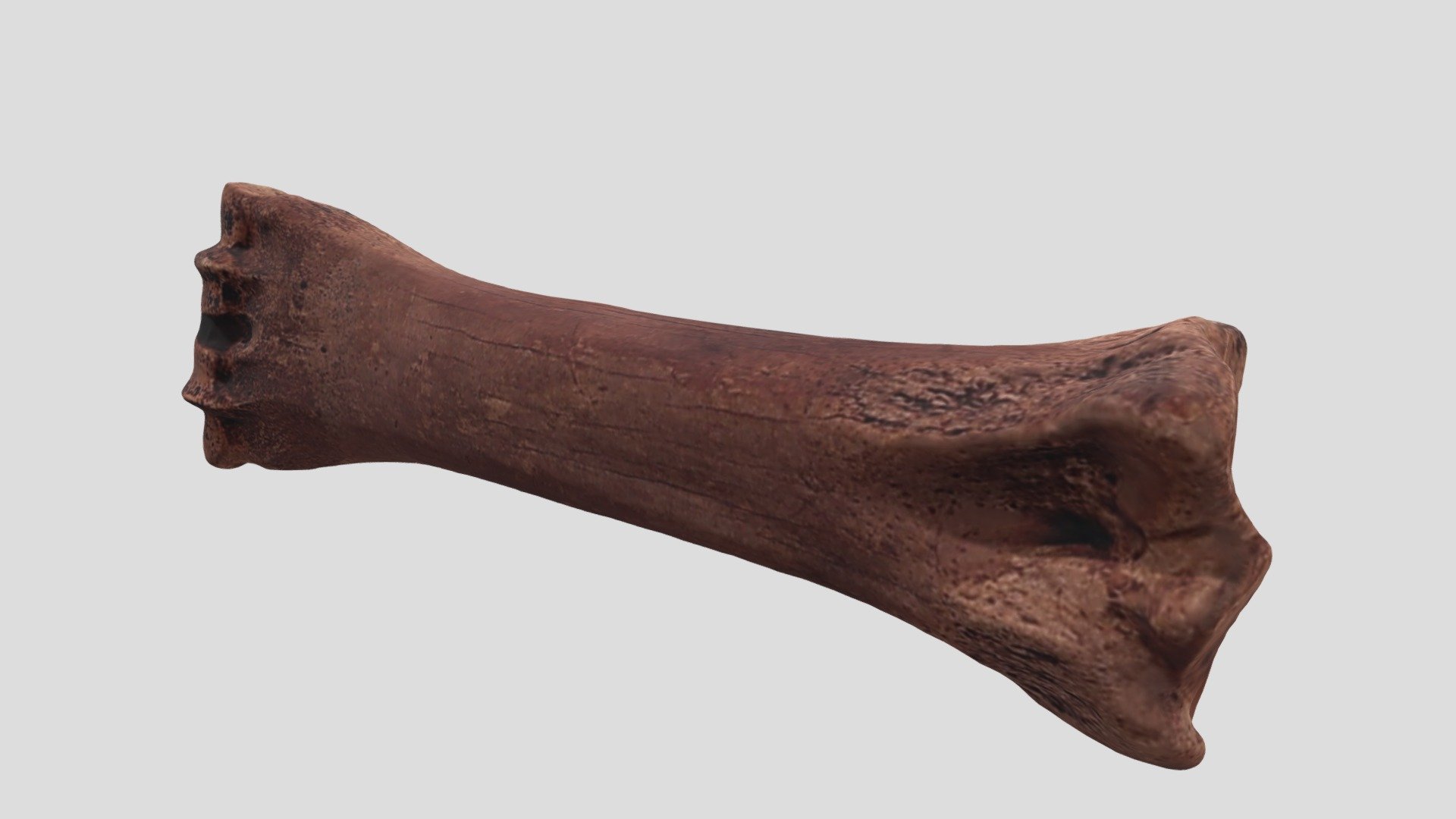 Sgeir nam Portan - bovine metatarsal - 3D model by Smilemaker [e587f44 ...
