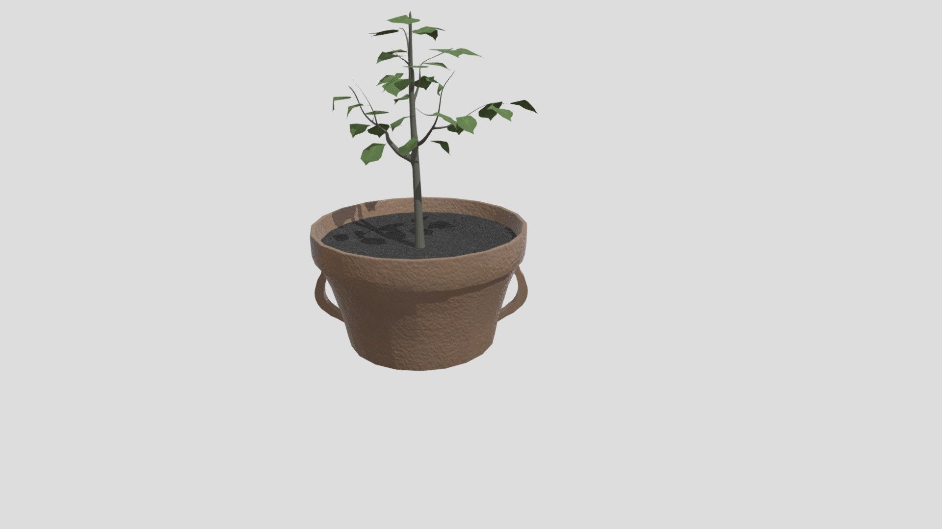 Plant/Pot - Download Free 3D model by aharman2347 [e588b9b] - Sketchfab