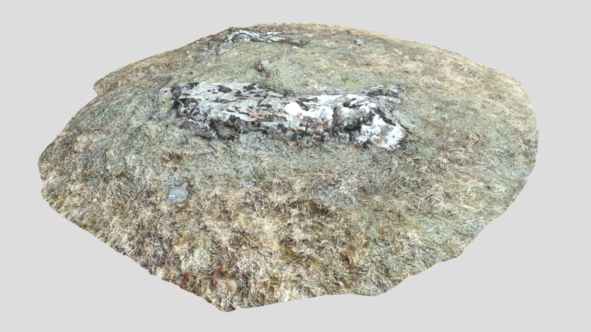 Ground scan 02 location 01 - Buy Royalty Free 3D model by Dave B ...