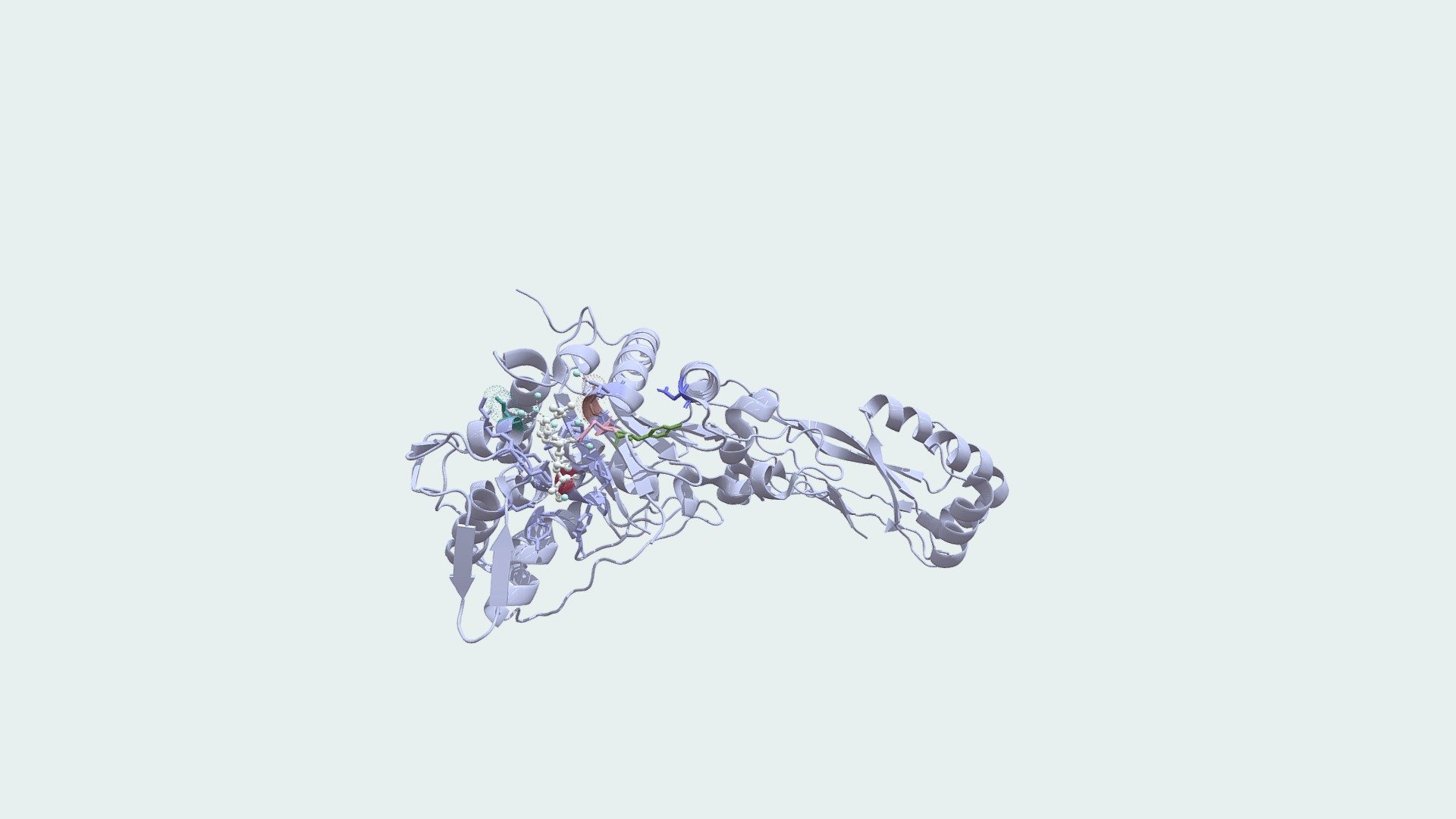 PBP3 and Meropenem - 3D model by lia (@liamyvuw) [e593bbe] - Sketchfab
