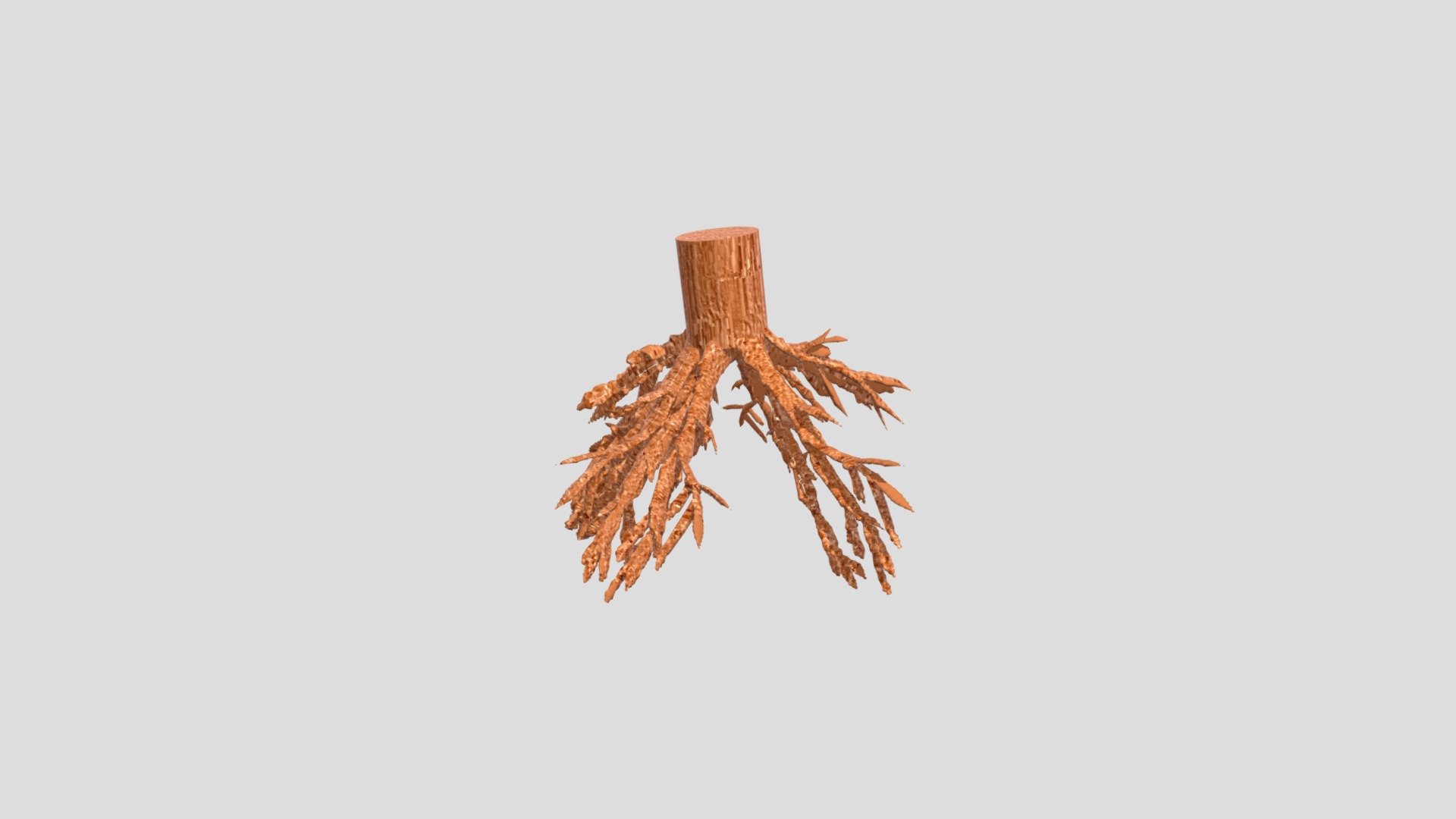 AKAR SERABUT 2 - 3D model by mirajuliya590 [e59c278] - Sketchfab