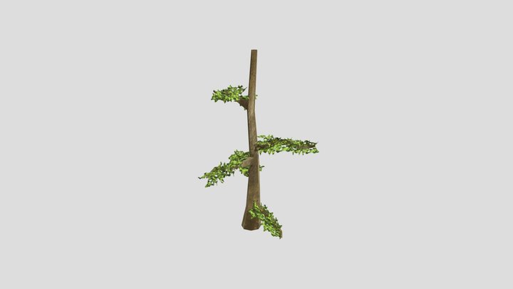 Chimplab 3D models - Sketchfab